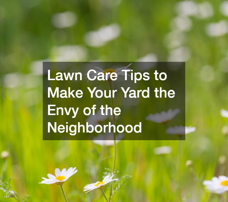 Lawn Care Tips to Make Your Yard the Envy of the Neighborhood ...